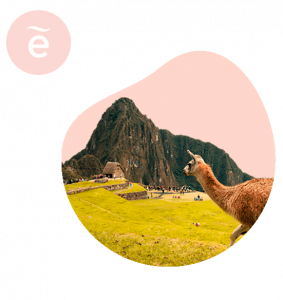 elebe Cultural | elebe